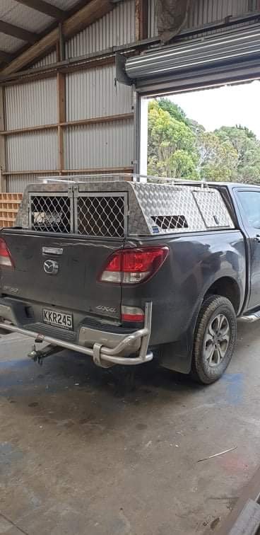 Aluminium Dog Boxes | Custom Made | Taylor Engineering - Taylor Engineering